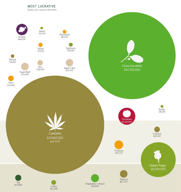 Two Charts Explain the Real Reason More States Are Legalizing Marijuana ...